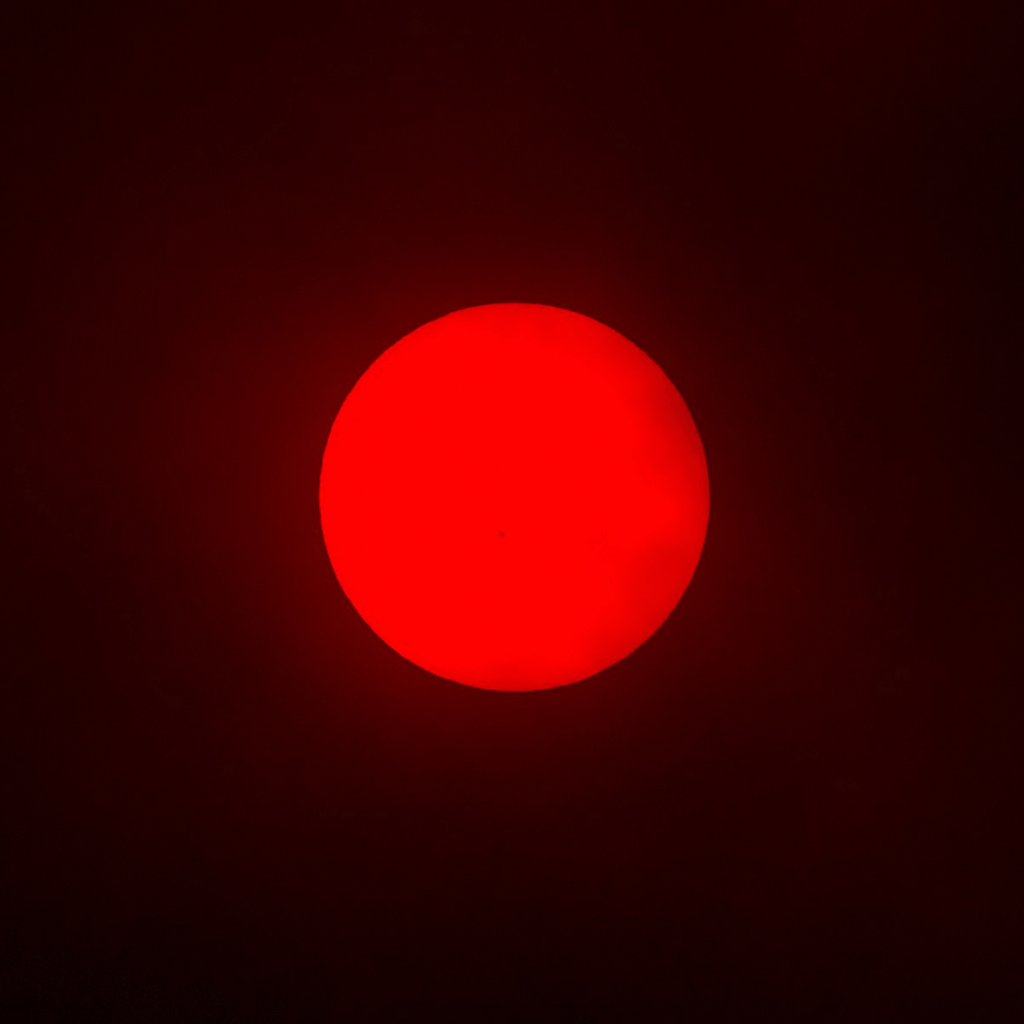 Love in the Time of Science Fiction - S Y N A P S I S