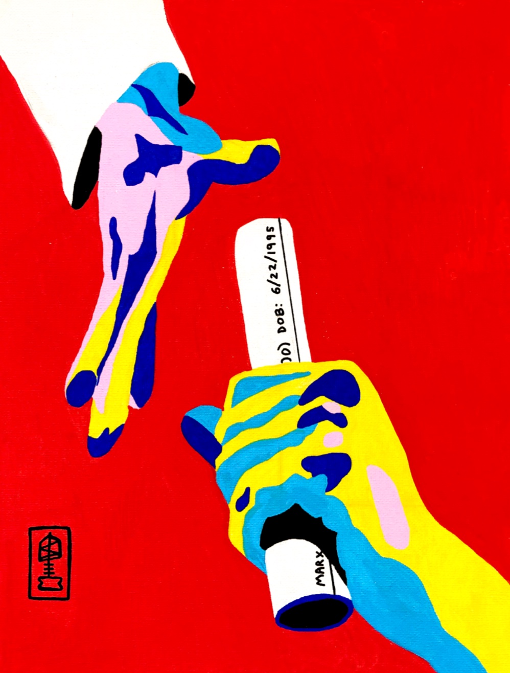 (Not) a Zebra - S Y N A P S I S