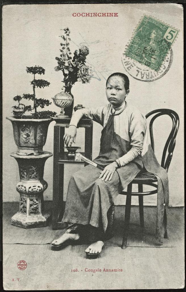 Representations and Discourses of Indochinese and North African Women ...