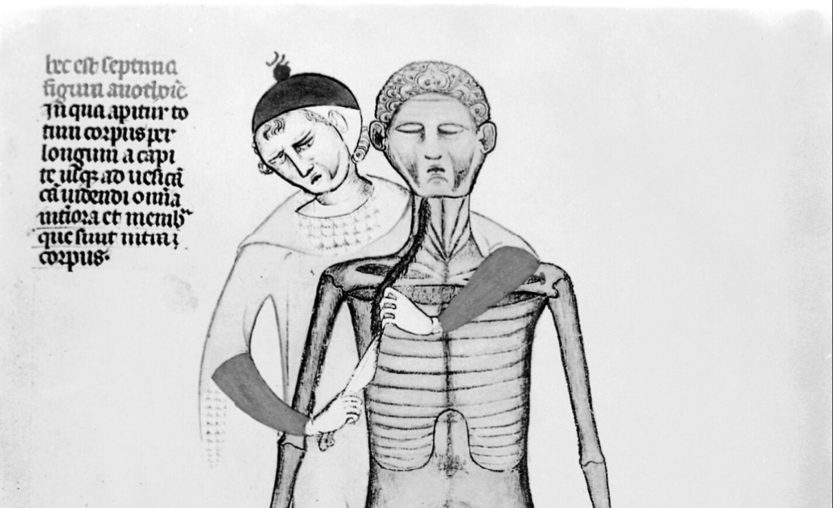 The Concept of Debility - S Y N A P S I S